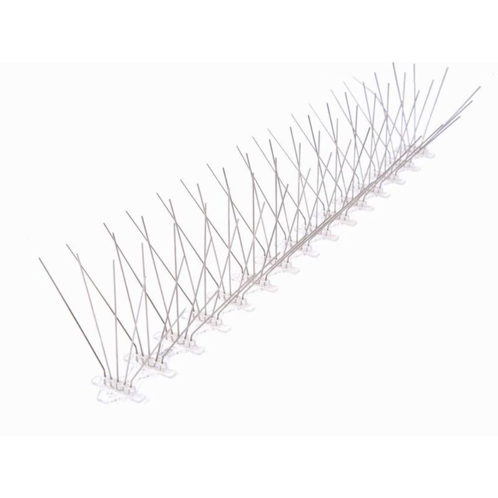 SS Bird spikes on Polycarbonate base_ – TSS